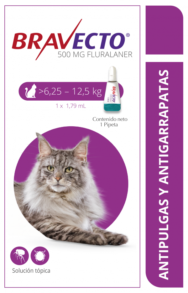 BRAVECTO 6,25-12,5KG Solución tópica 500 mg GATOS. | Ivanagro