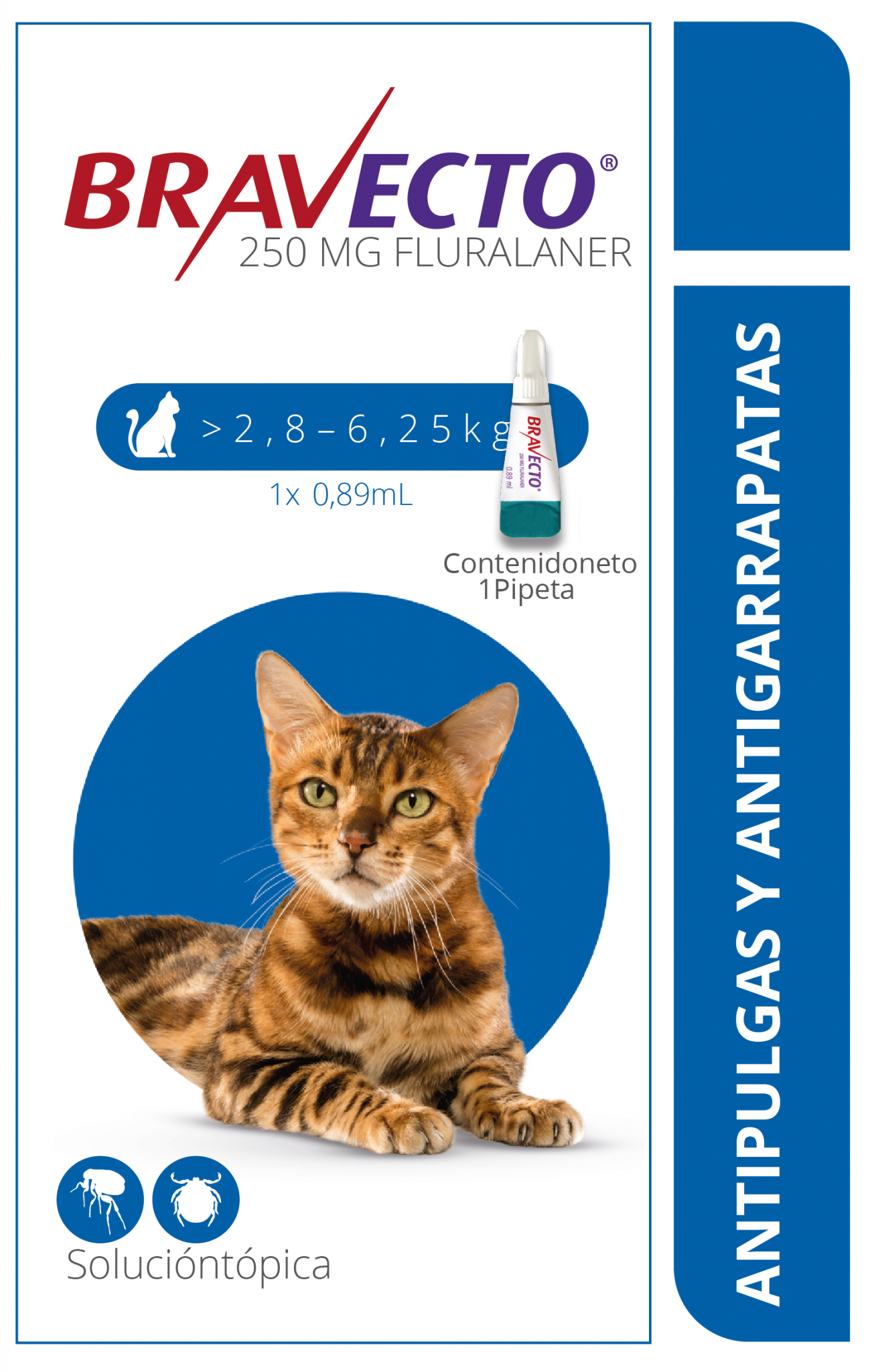 BRAVECTO 2,8-6,25KG Solución tópica 250 mg GATOS. | Ivanagro